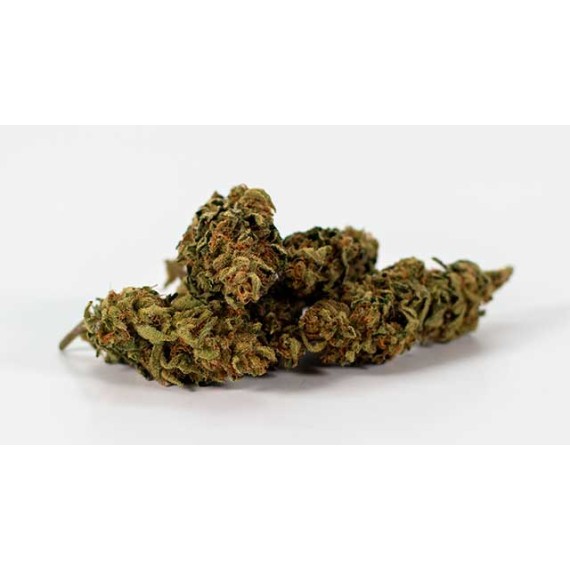 Memory Loss OG Flower